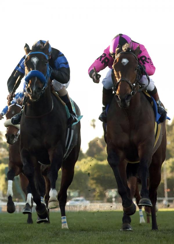 Alert Bay survives inquiry in Cal Cup Turf Classic