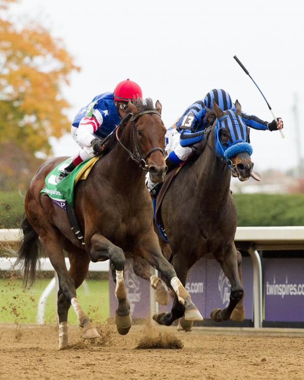 Borell files suit seeking compensation for training Runhappy