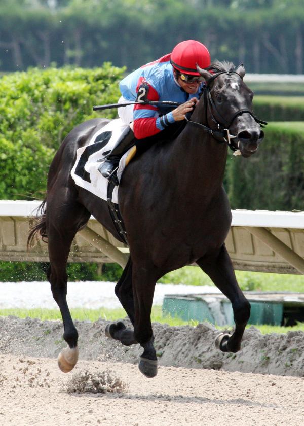 Saratoga: Brave Dave already proven at Sanford's six-furlong distance