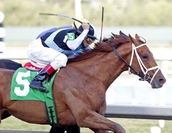 Spiral Stakes: Velazquez has difficult assignment on Capo Bastone
