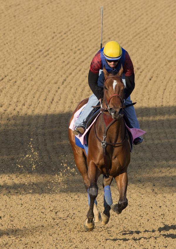 Del Mar: Eden's Moon making turf experiment in San Clemente