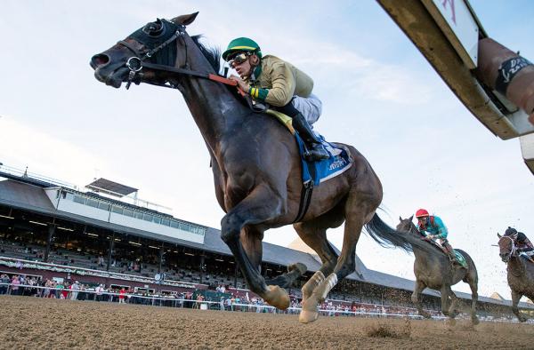 Daily Racing Form | Horse Racing | Entries | Results | PPs (Past ...