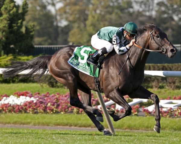 Belmont Park: Western Aristocrat leads all the way in Jamaica Handicap