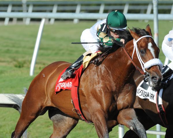 Belmont Park: Mucho Macho Man sizzles in four-furlong drill