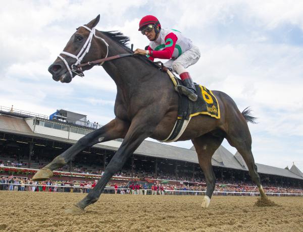 Rally Cry shows he can go long with Alydar triumph