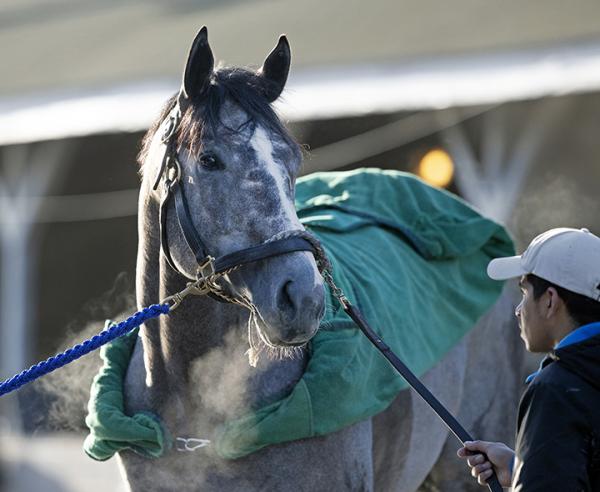 Daily Racing Form | Horse Racing | Entries | Results | PPs (Past ...