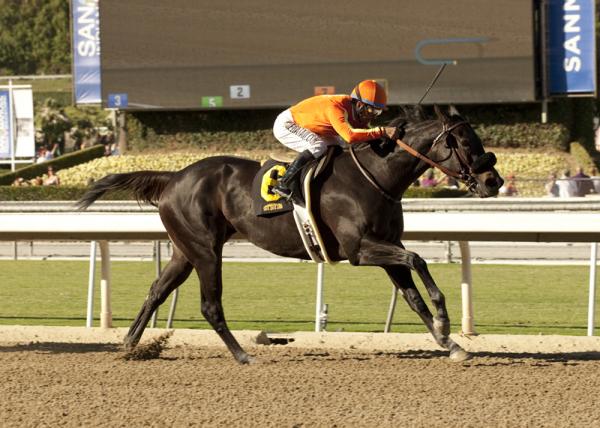 Jay Hovdey: Teddy's Promise letting owners enjoy a fairy-tale ride