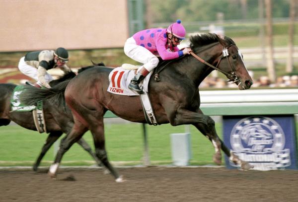Sires of the 2016 Kentucky Derby: Tiznow