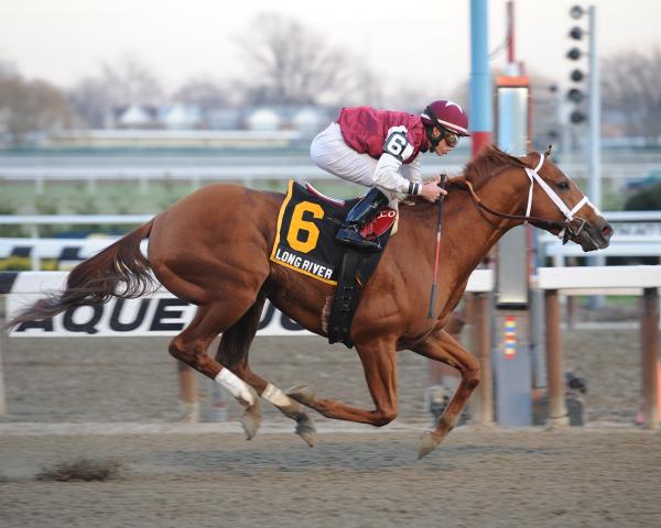 Aqueduct: Long River delivers as favorite in Time for a Change Stakes