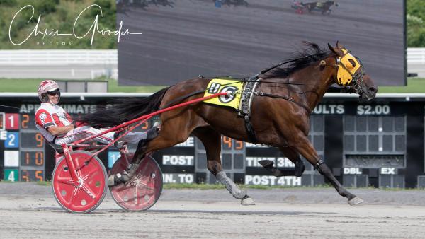 The Meadows: Dave Palone picks up career win 18,000