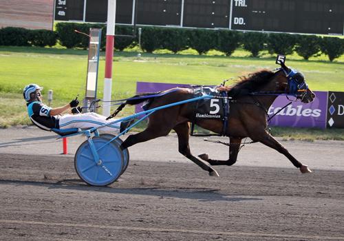 Harness: Simon Allard facing punishment by association