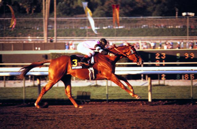 Affirmed in 1978 | Santa Anita Derby: Ten races that left their mark ...