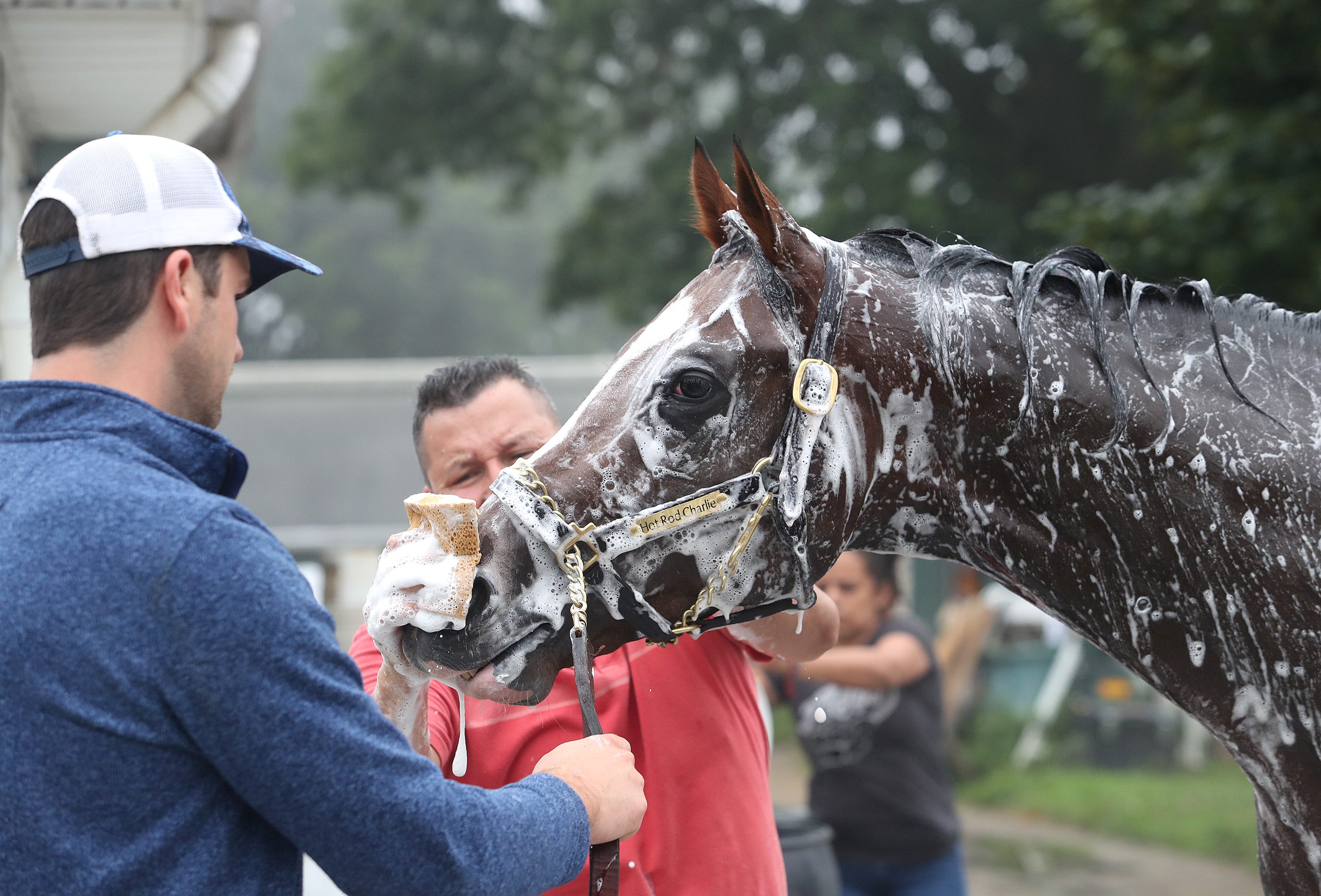 Hot Rod Charlie señalado como favorito 6-5 en el Haskell