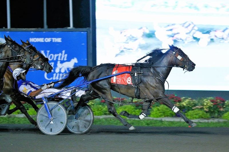 Woodbine Mohawk Park: Beatson family excited as So Much More heads to ...