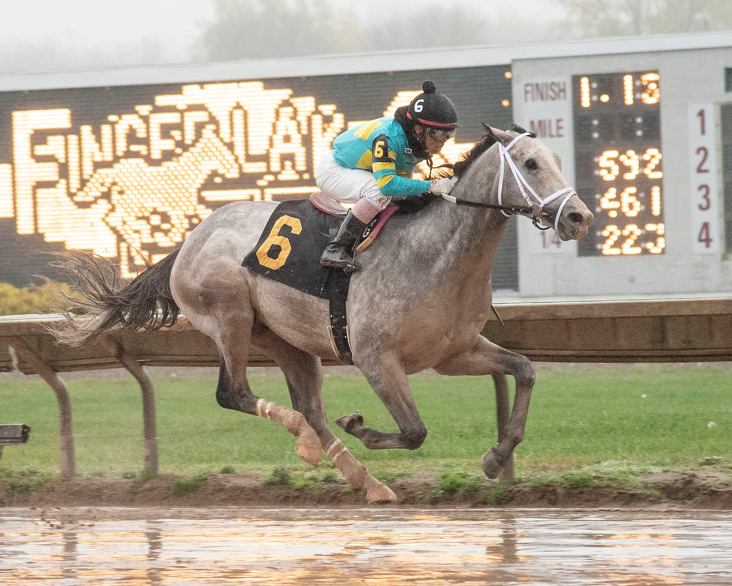 Blue Gator likely favorite in Rego Park Stakes