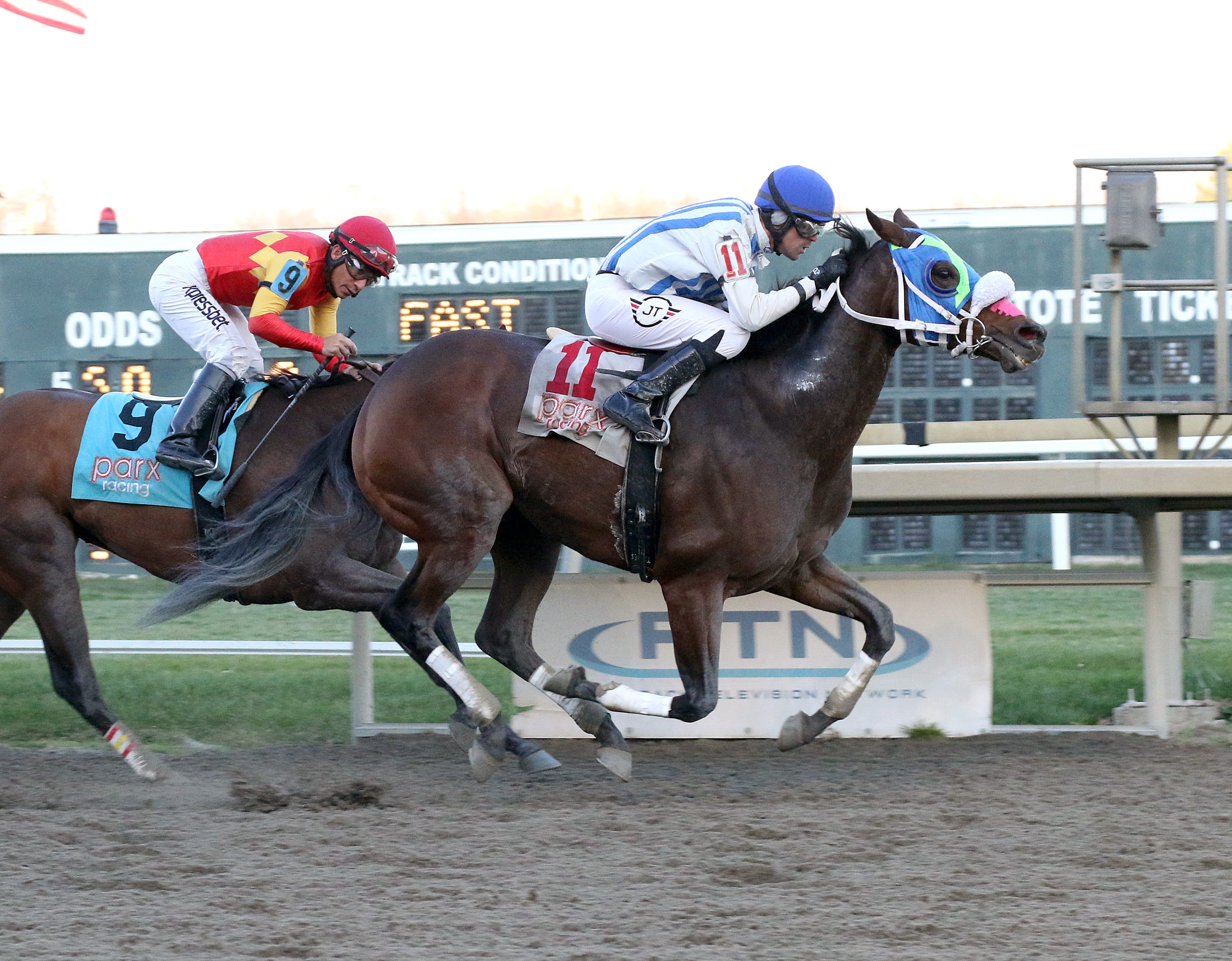 Bourbon Bon Bay justifies trainer's faith in her by winning Cornucopia