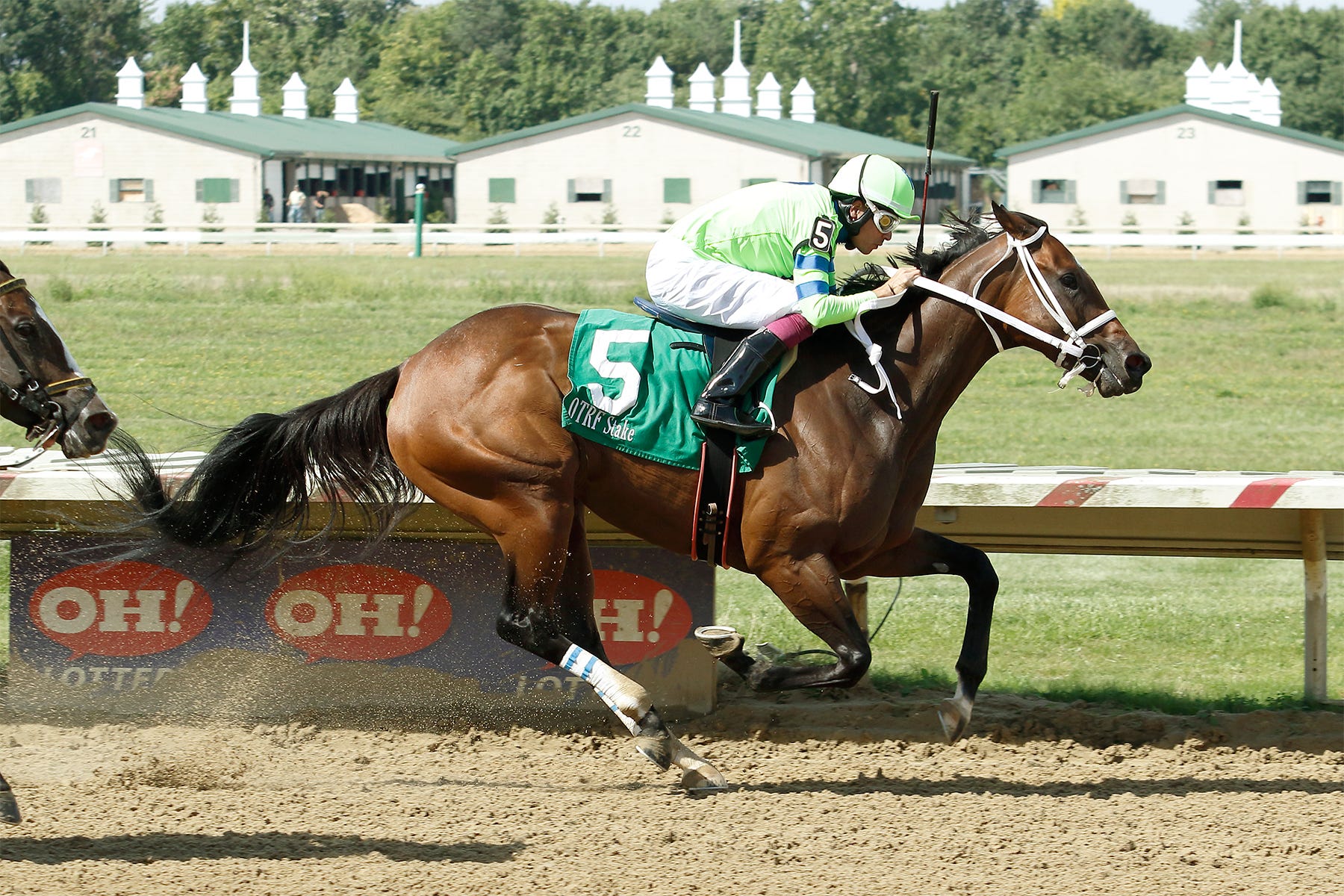 Proper Discretion repeats in Scarlet and Gray Handicap