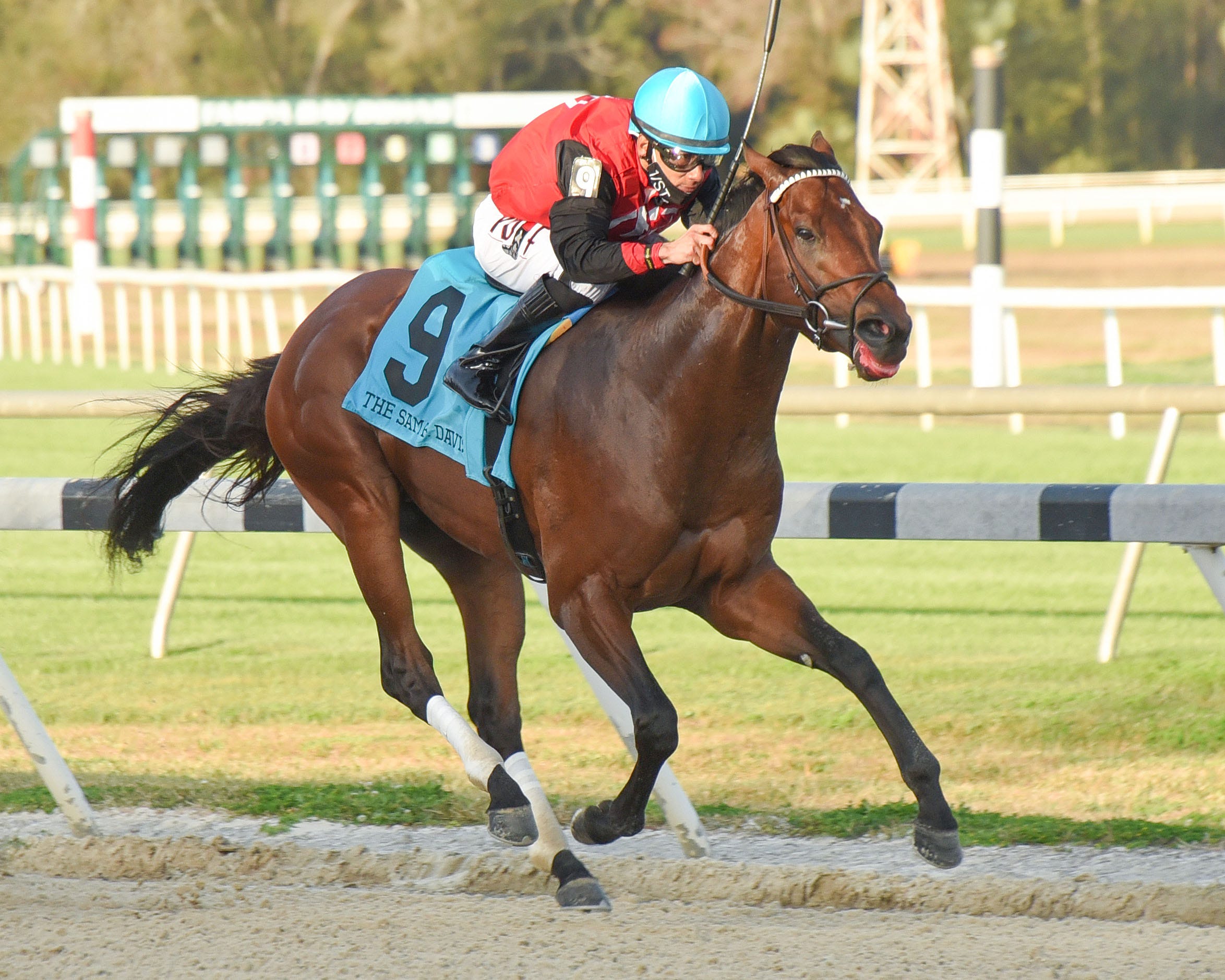 Candy Man Rocket obtuvo diez puntos al Kentucky Derby triunfando en el ...