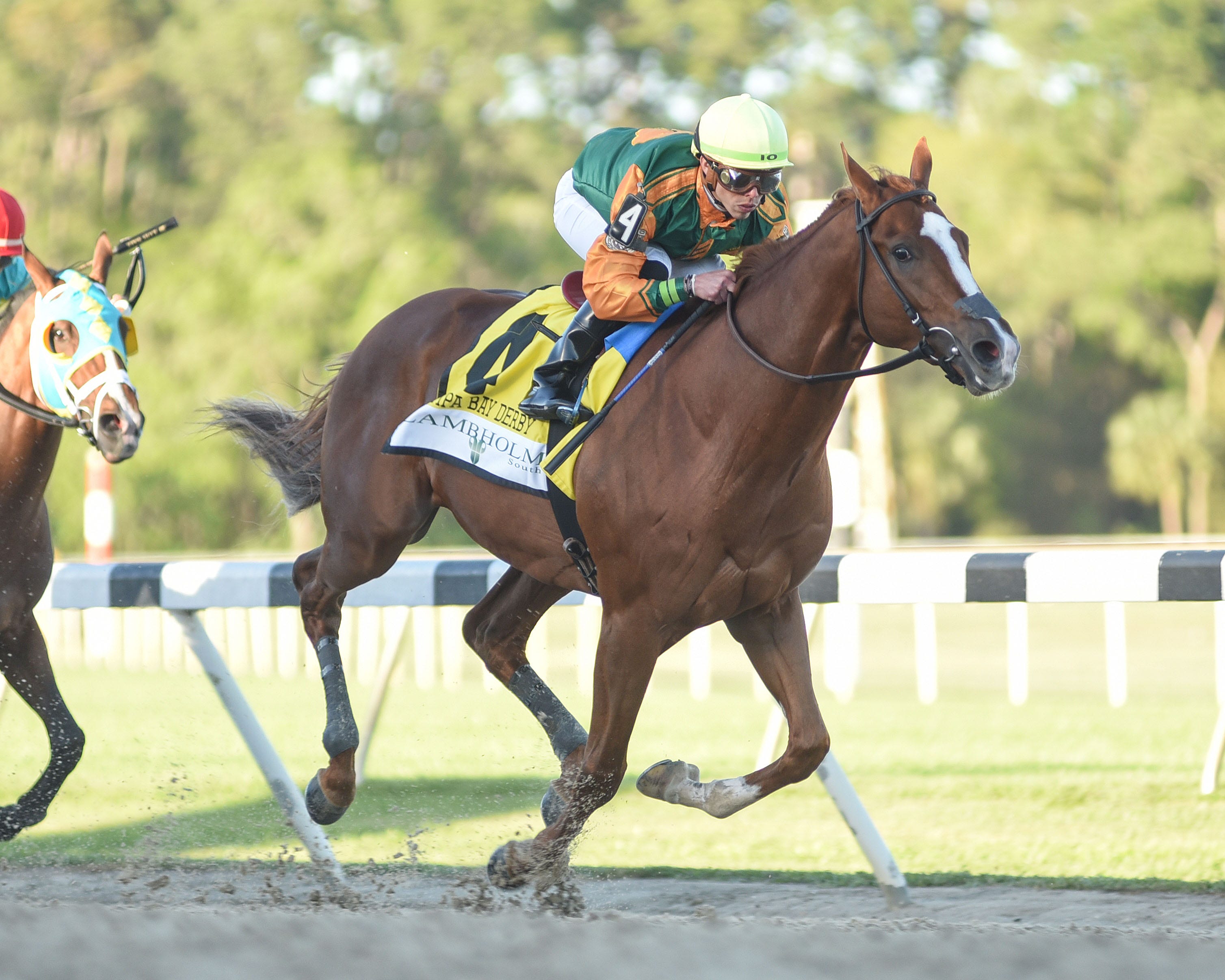 Classic Causeway surges in final furlong, wins Tampa Bay Derby
