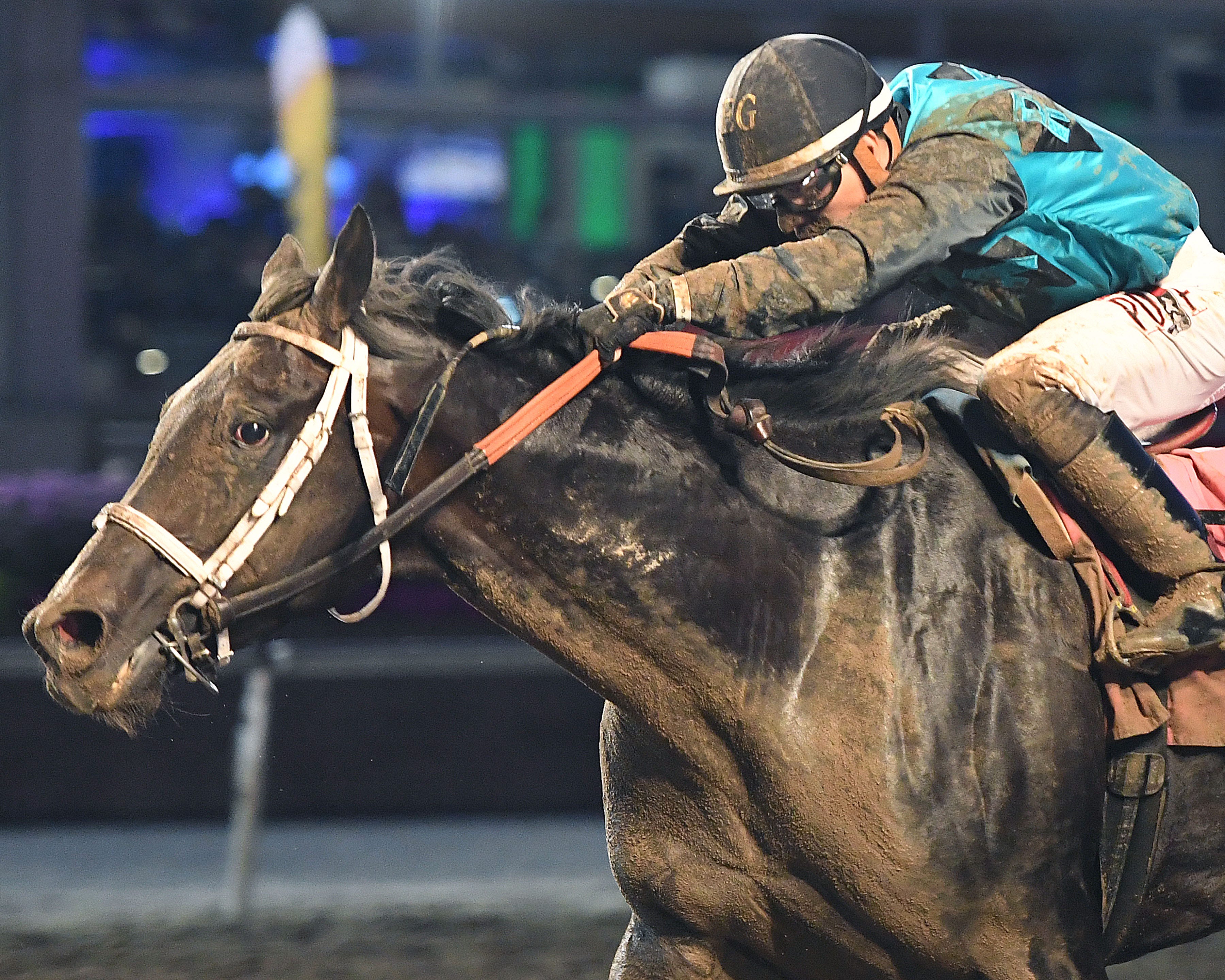 Ain't Life Grand displays solid form in Iowa Derby
