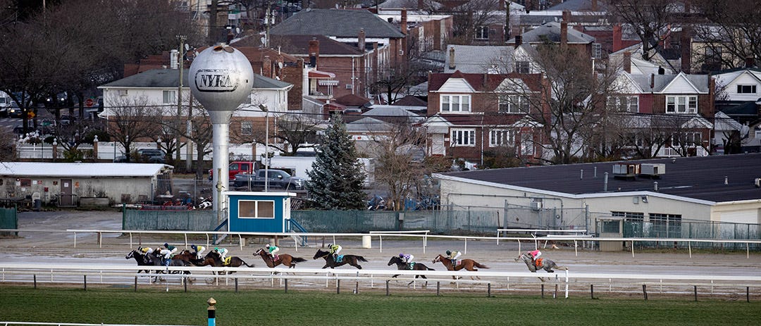 DRF's Horse Racing Playbook for Saturday, November 4, 2023