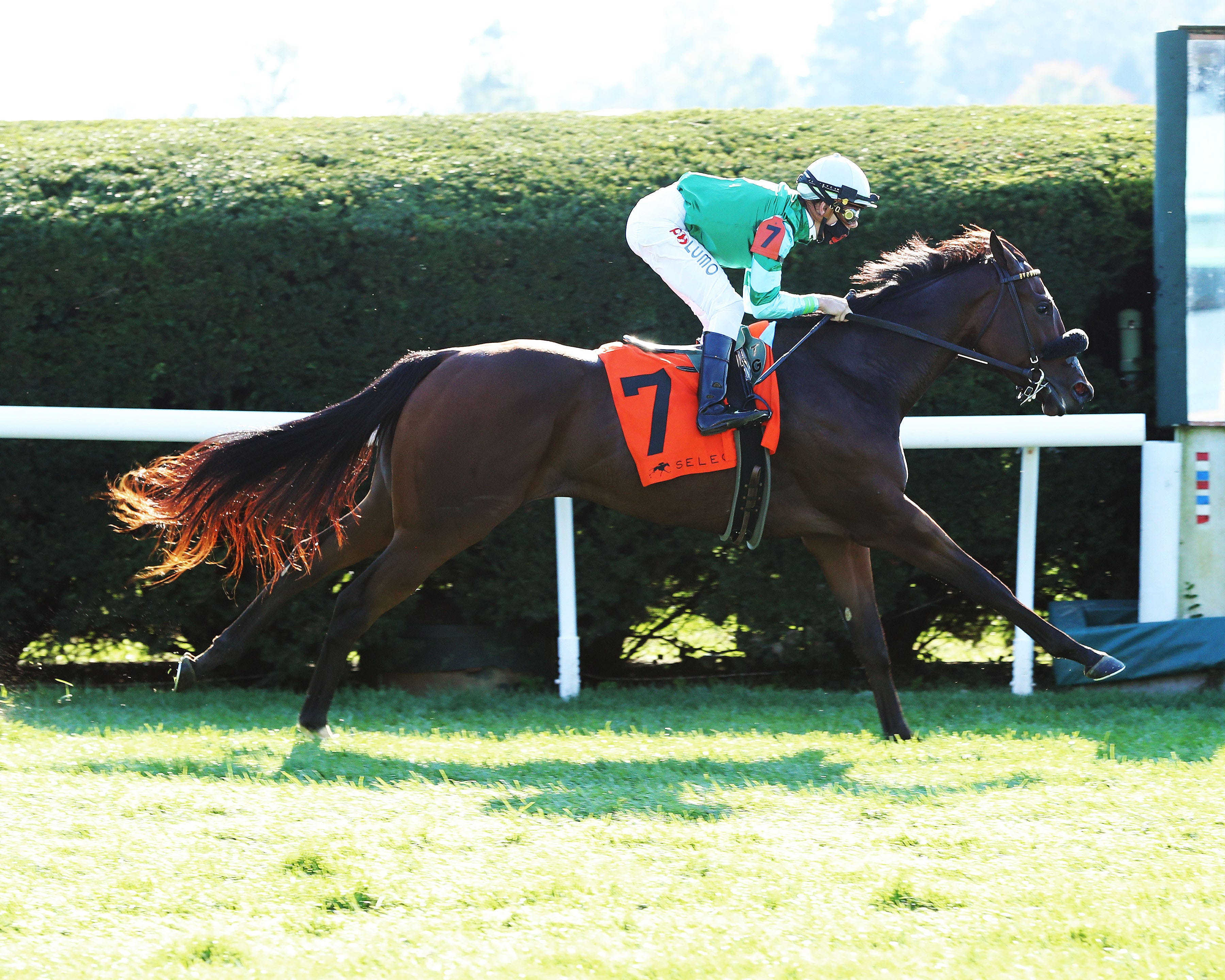 Averly Jane se dio un paseo de salud en el Indian Summer Stakes y logró ...