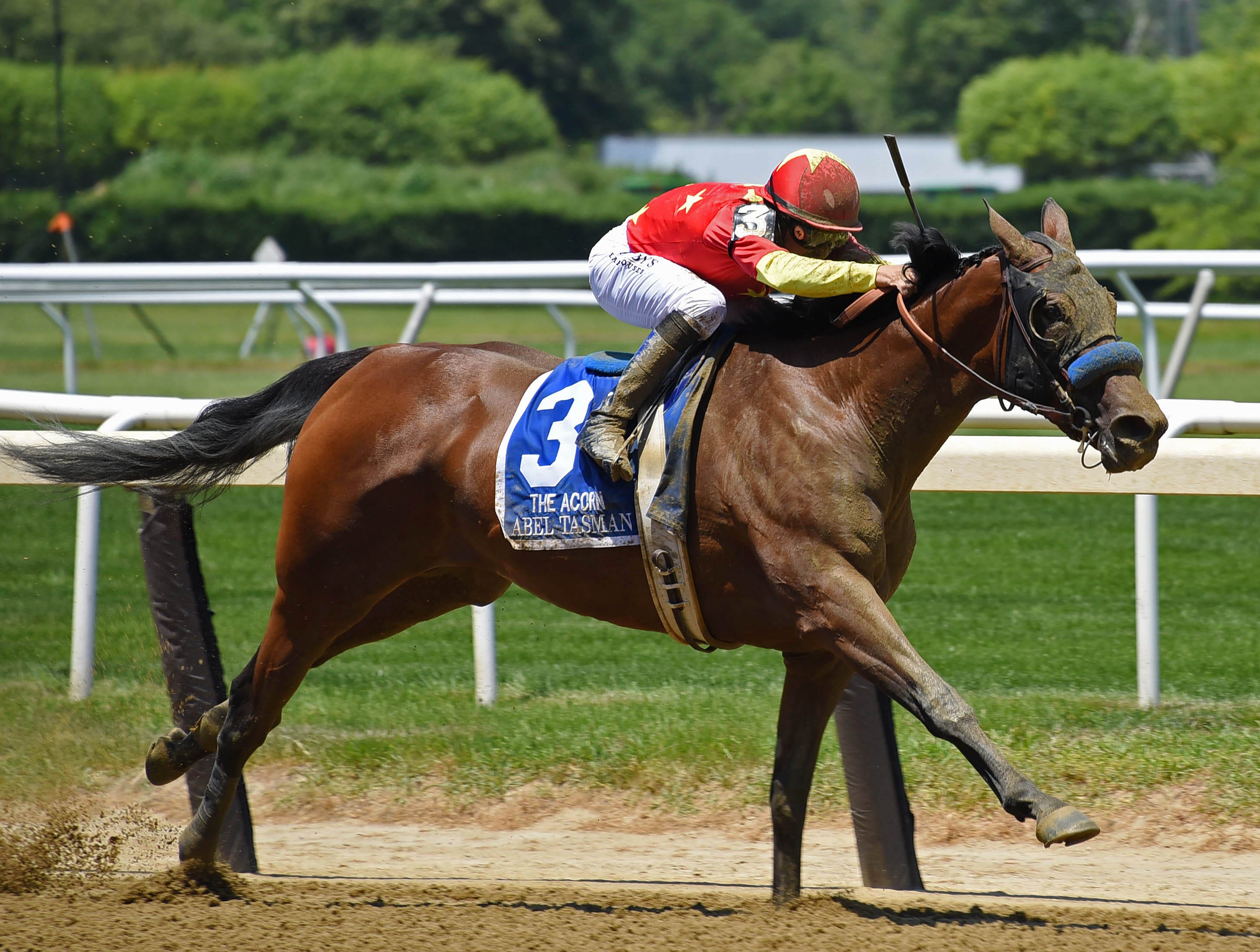 Abel Tasman gives Baffert, Smith another stakes win in Acorn