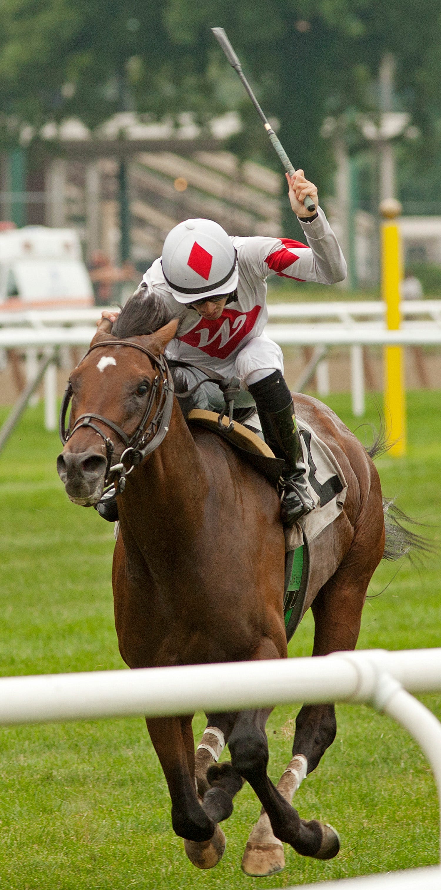 Belmont Park: Rice runners in the thick of it on closing day