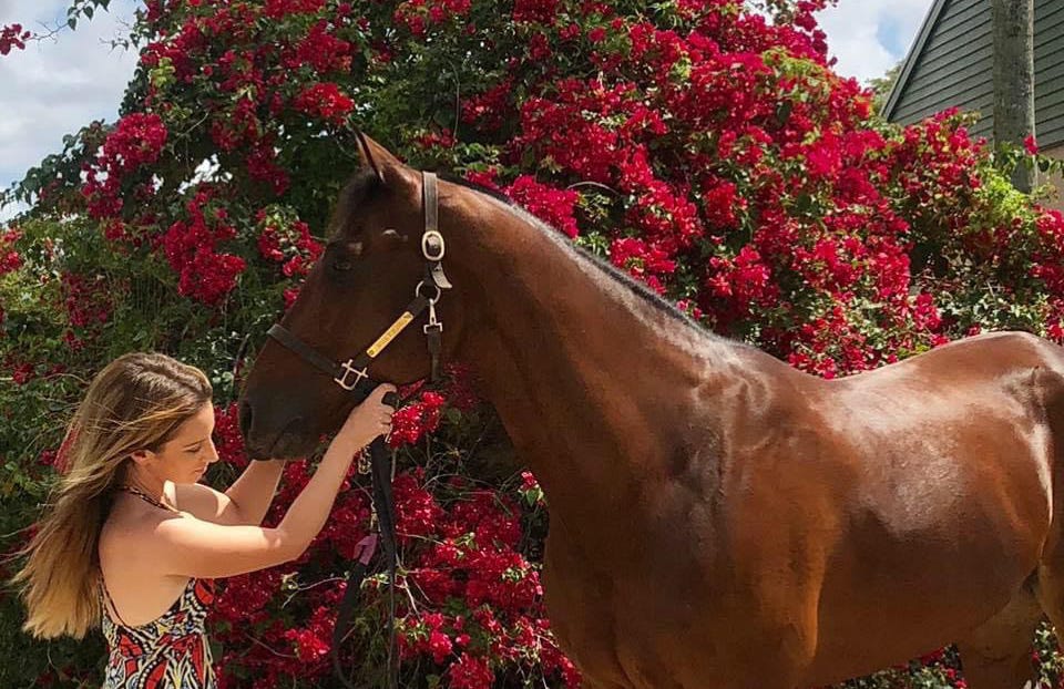 Harness: Meadowlands stands behind owner/trainer Adrienne Hall; USTA ...