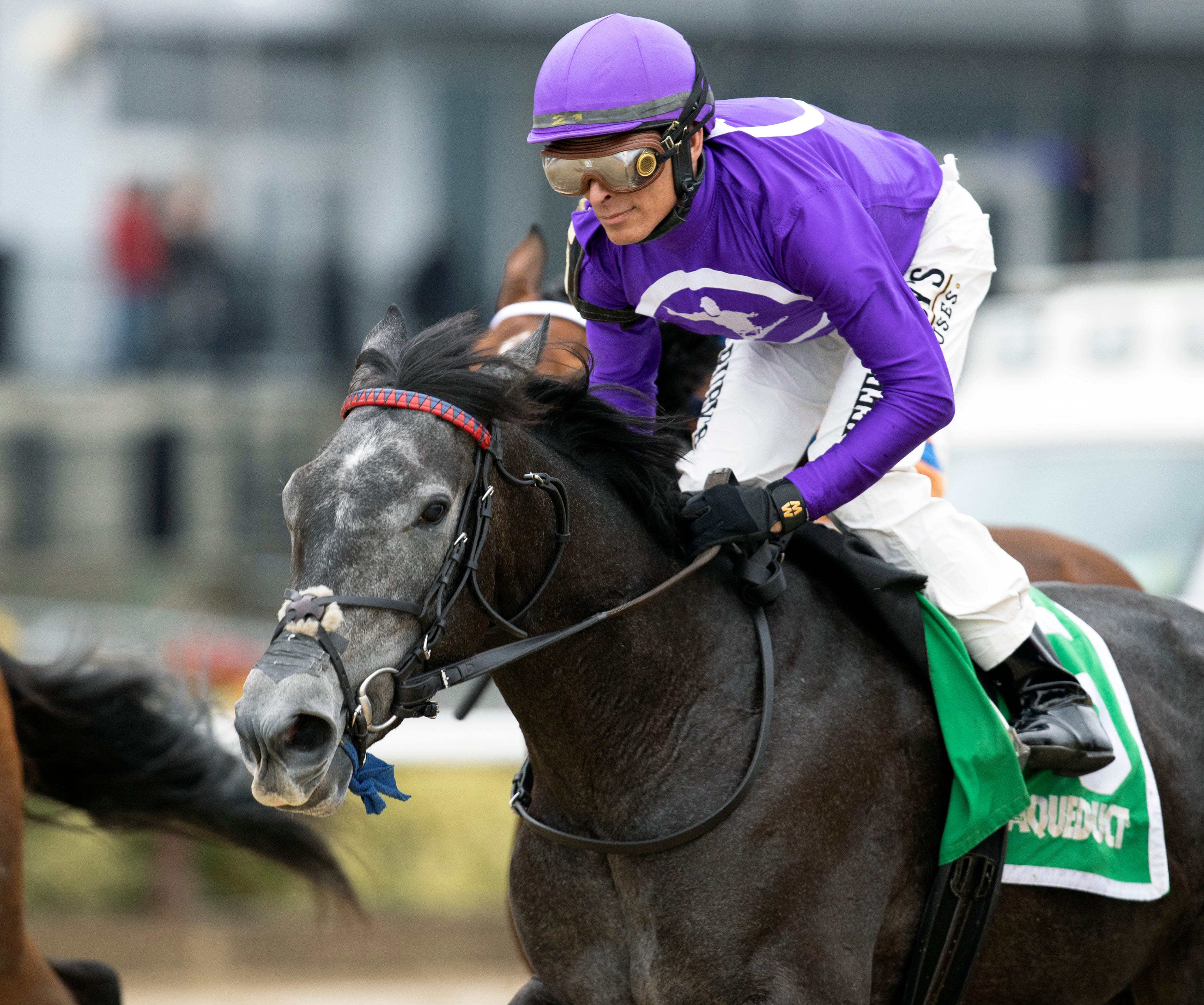 Busanda: Affirmative Lady a stakes-worthy maiden