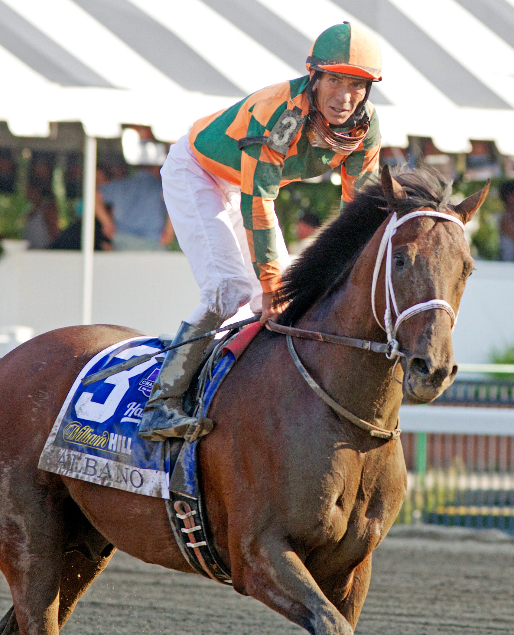 Albano, Protonico head Smarty Jones probables