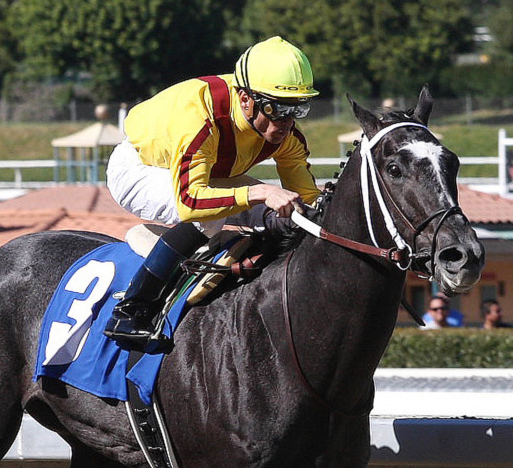 Kentucky Derby trend continues to stand test of time