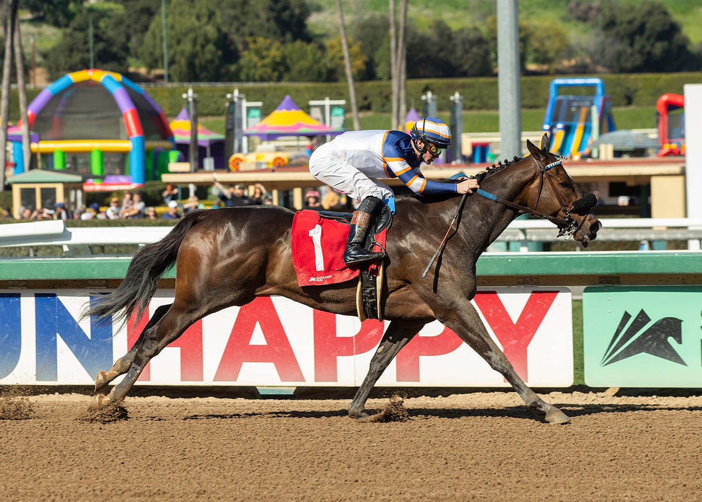 Grade 1 could be next for Spring Fever winner Alice Marble