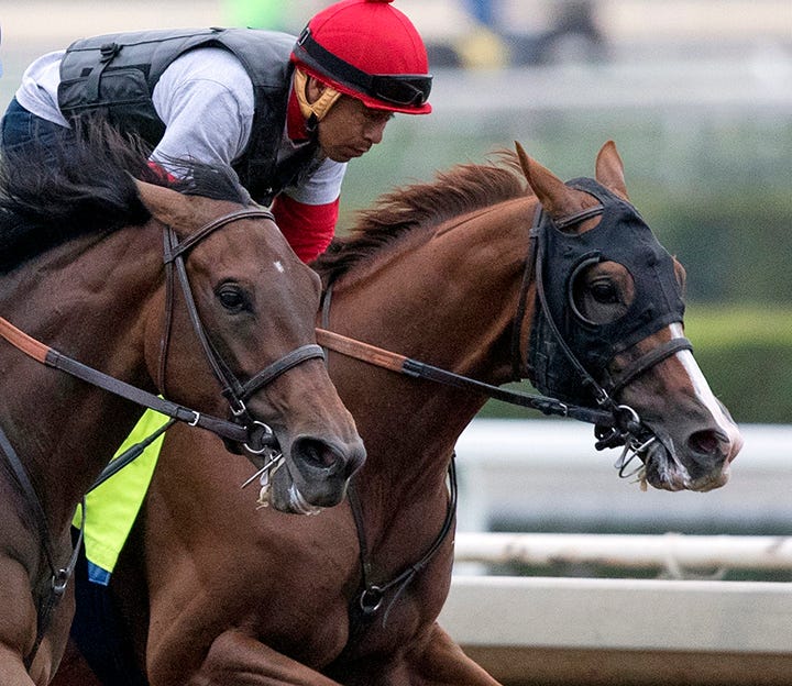 Allowance an ideal comeback spot for Rocko's Wheel