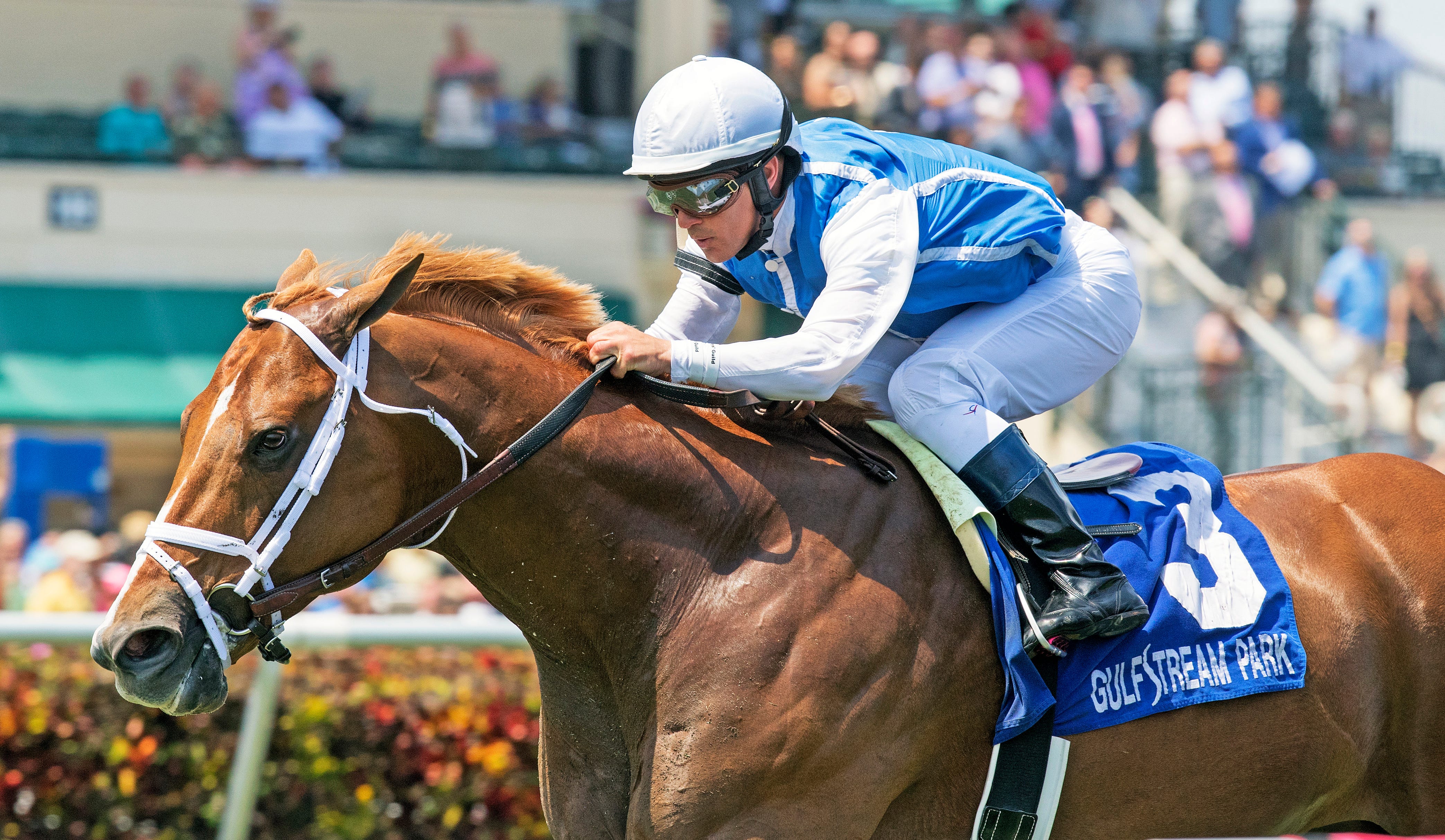 All Included merits slight edge in Miami Mile