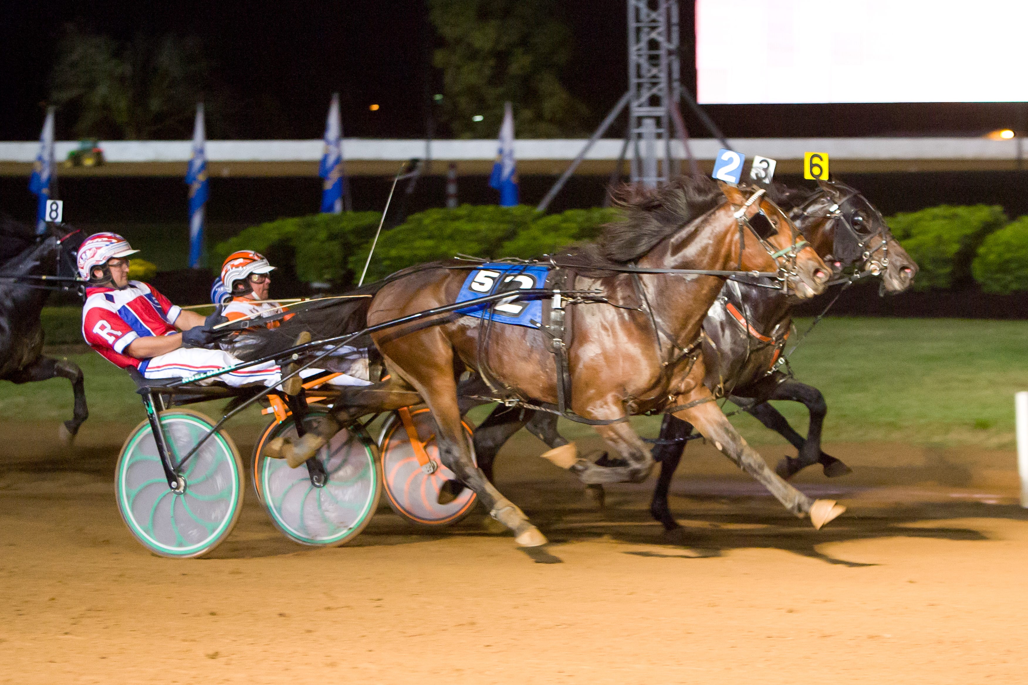 Harness Racing: Daley has high hopes for All Laid Out in the Matron at ...