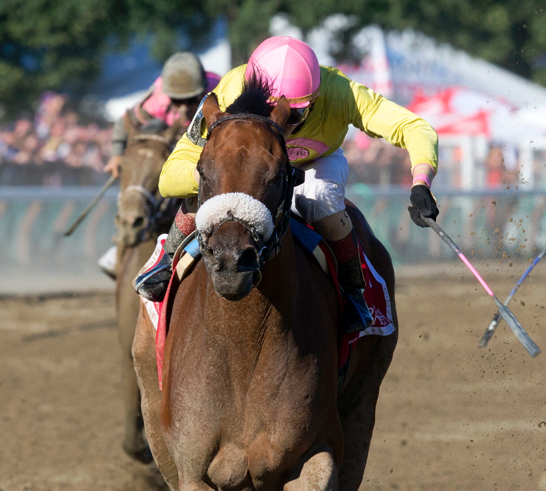 Evan Shipman suits Royal Posse to a ‘T'