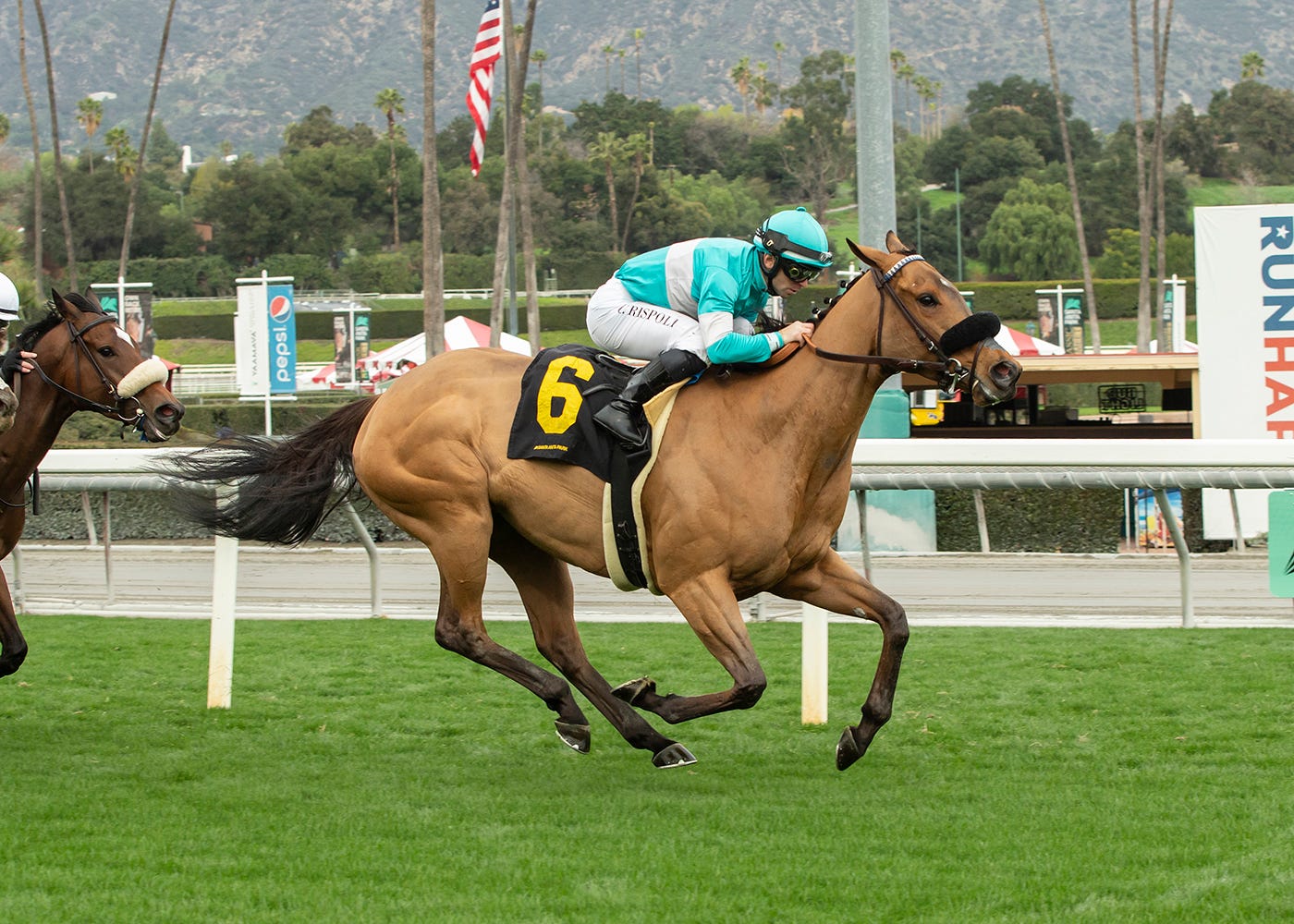 Amy C stays perfect on the hill with Las Cienegas Stakes win