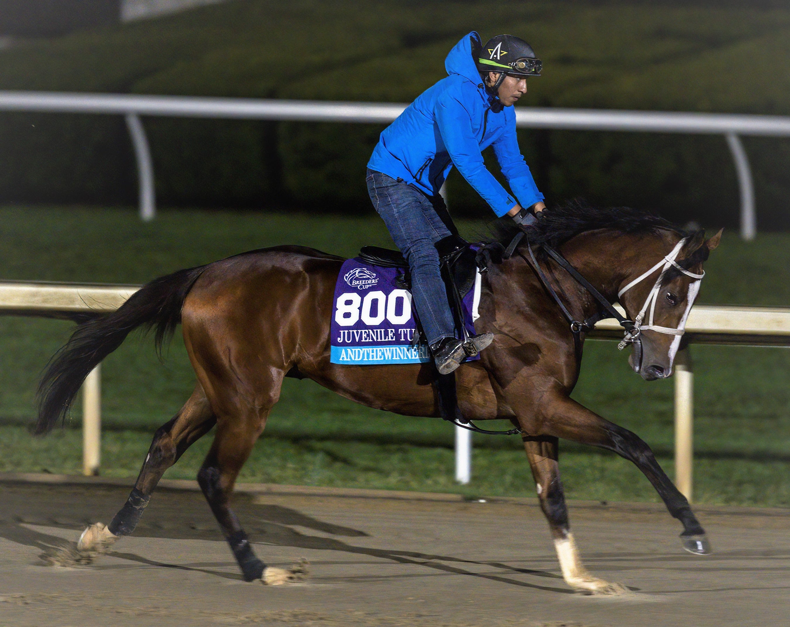 Breeders' Cup: Moulton has Breeders' Cup starters Friday and Saturday