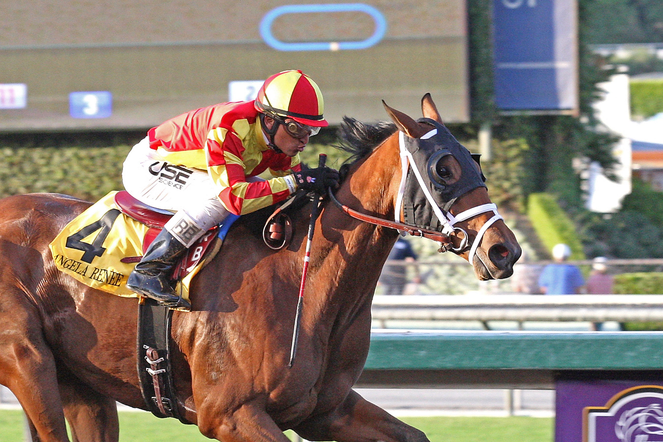 Angela Renee's long trip worthwhile in Chandelier