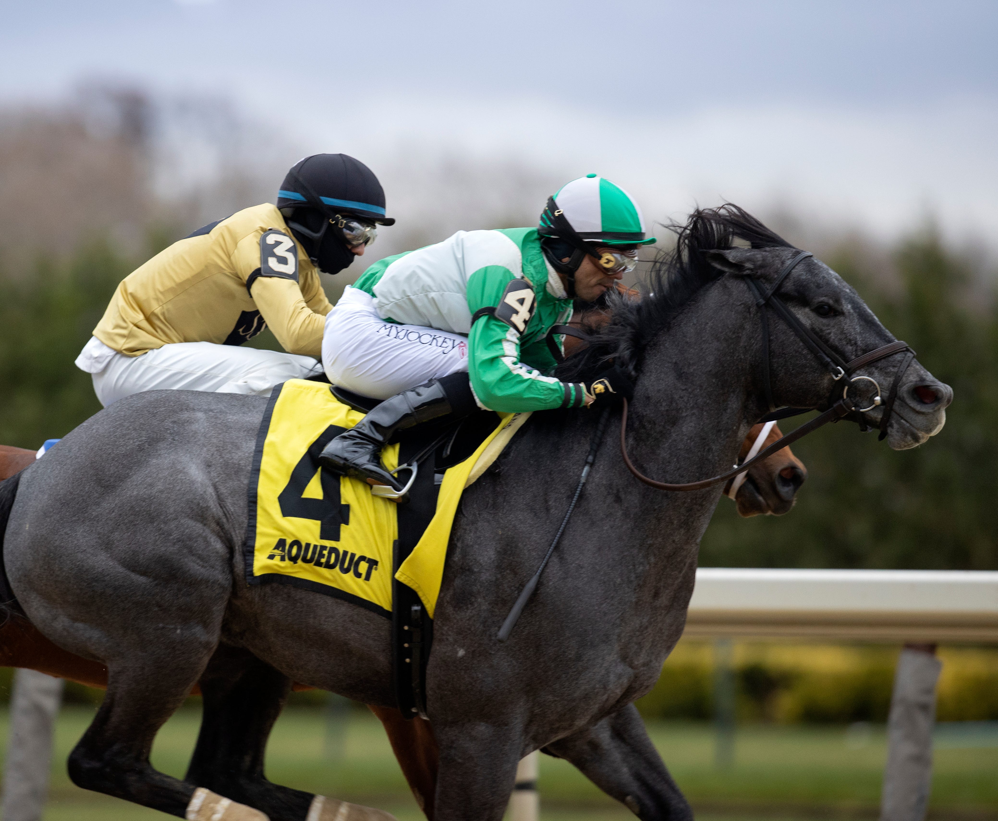 Arctic Arrogance goes next in Wood Memorial or Bay Shore