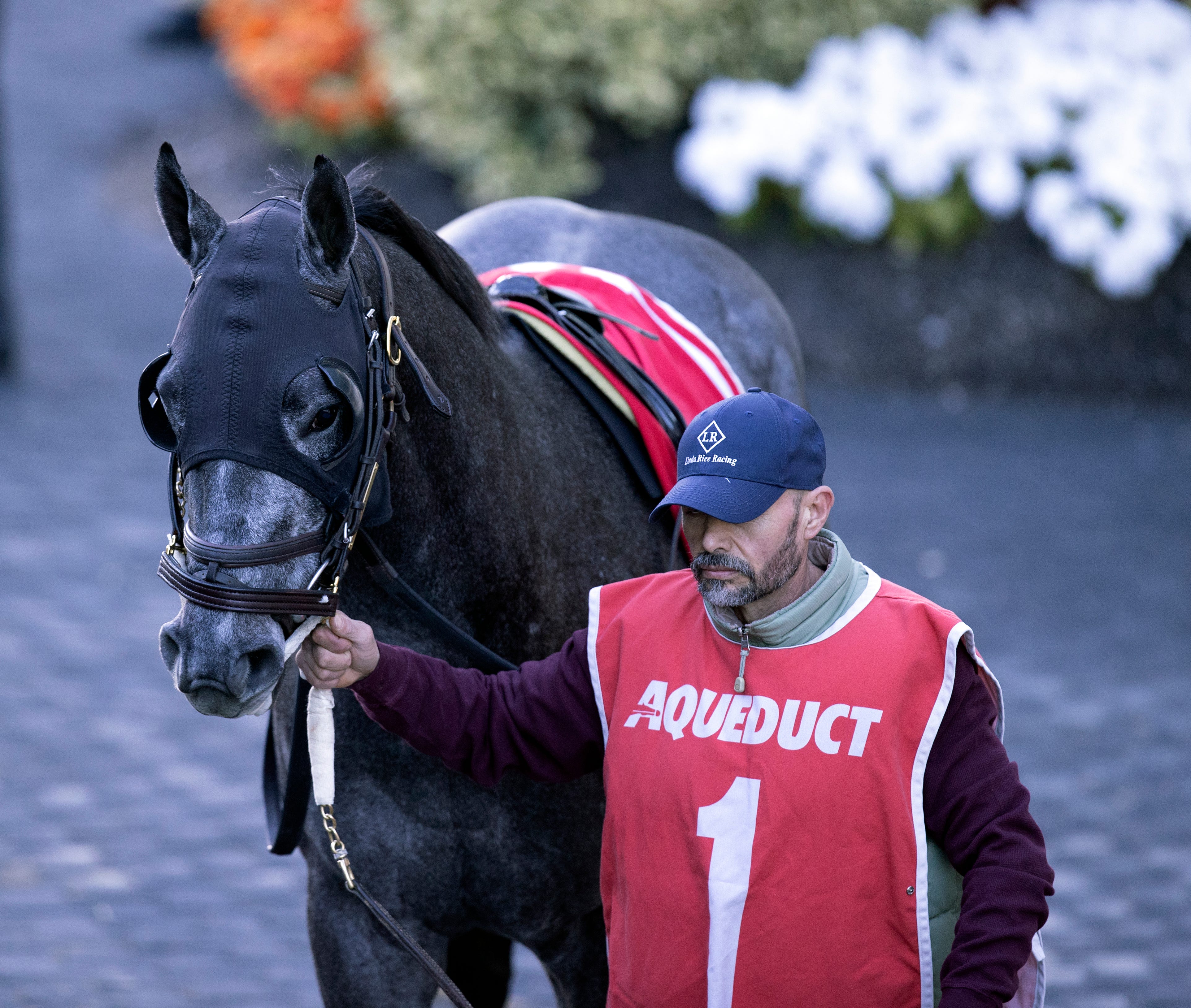 Rice likely to give Arctic Arrogance a shot in Wood Memorial