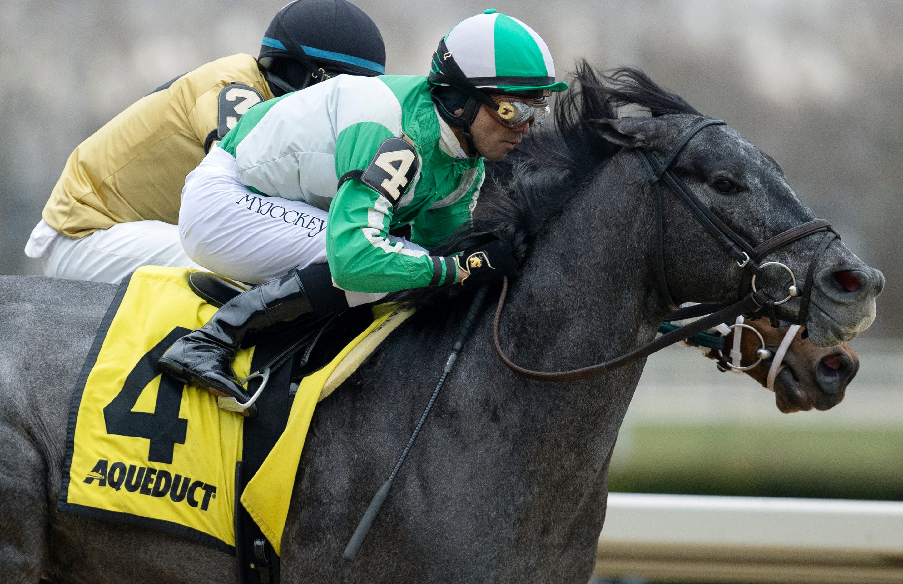 Arctic Arrogance breezes for Withers Stakes