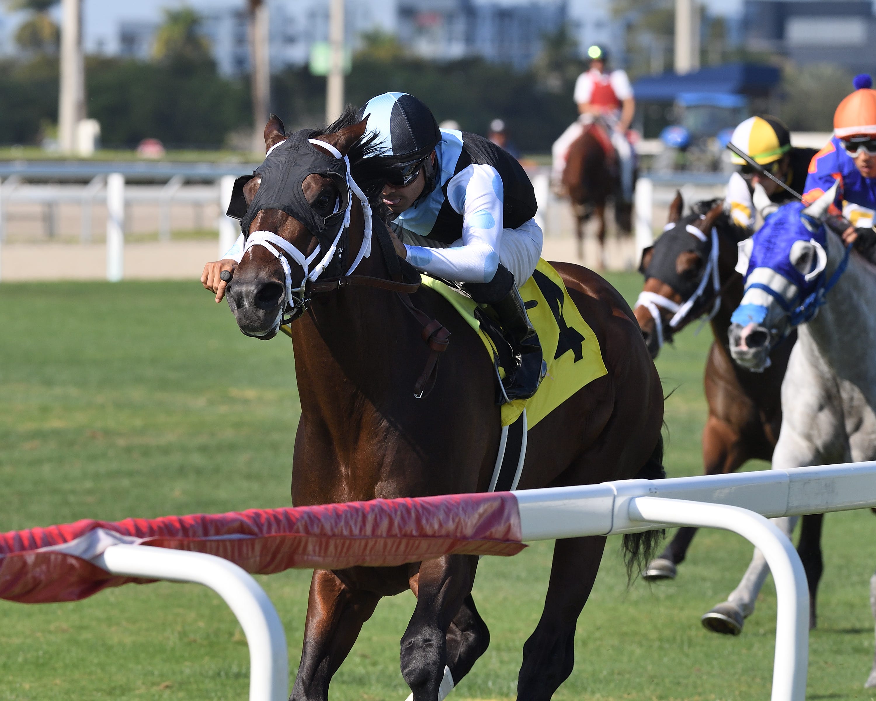Pletcher, Ari Gold, Junipermarshmallow triumph at Gulfstream