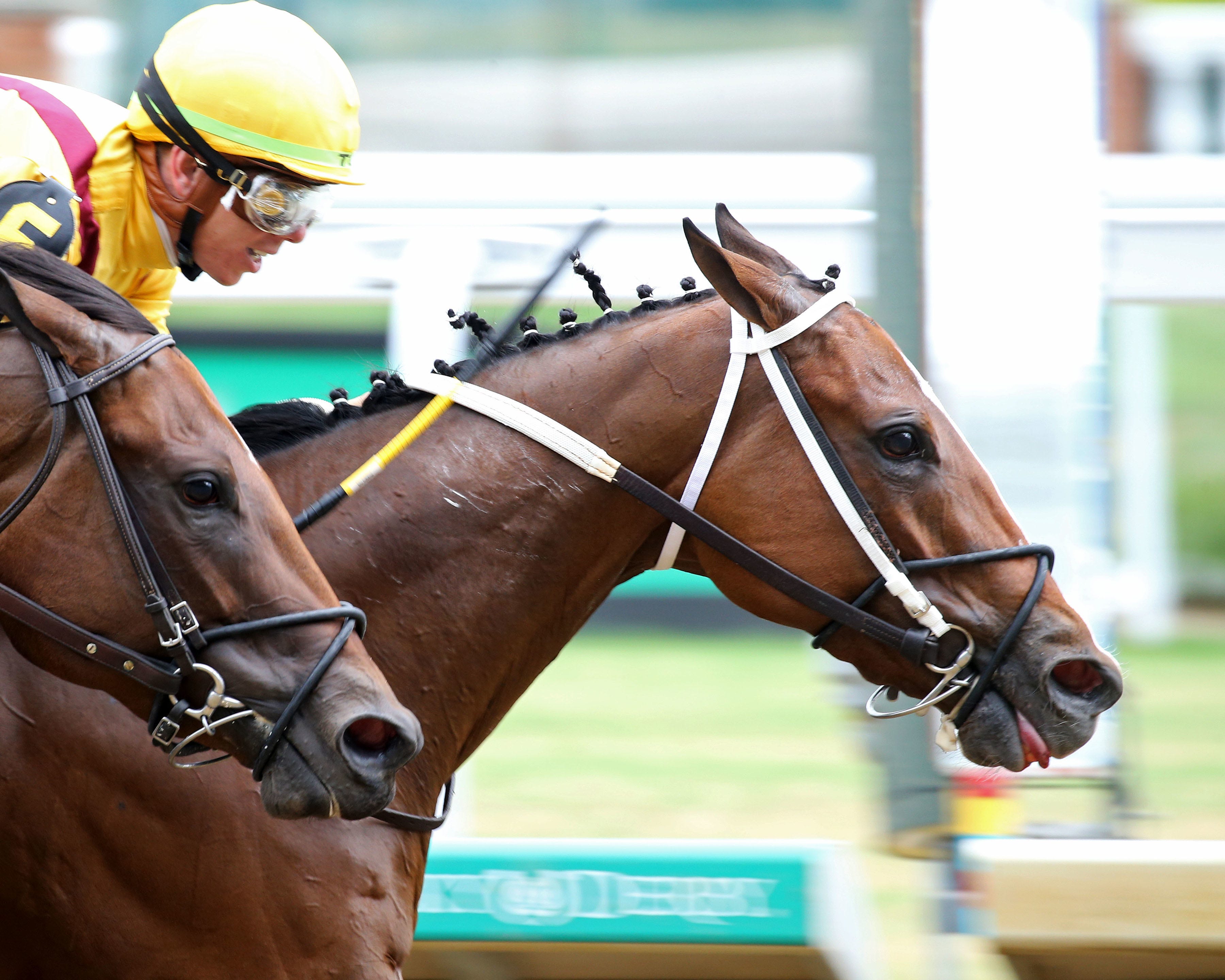 Short dash draws deep field of contenders