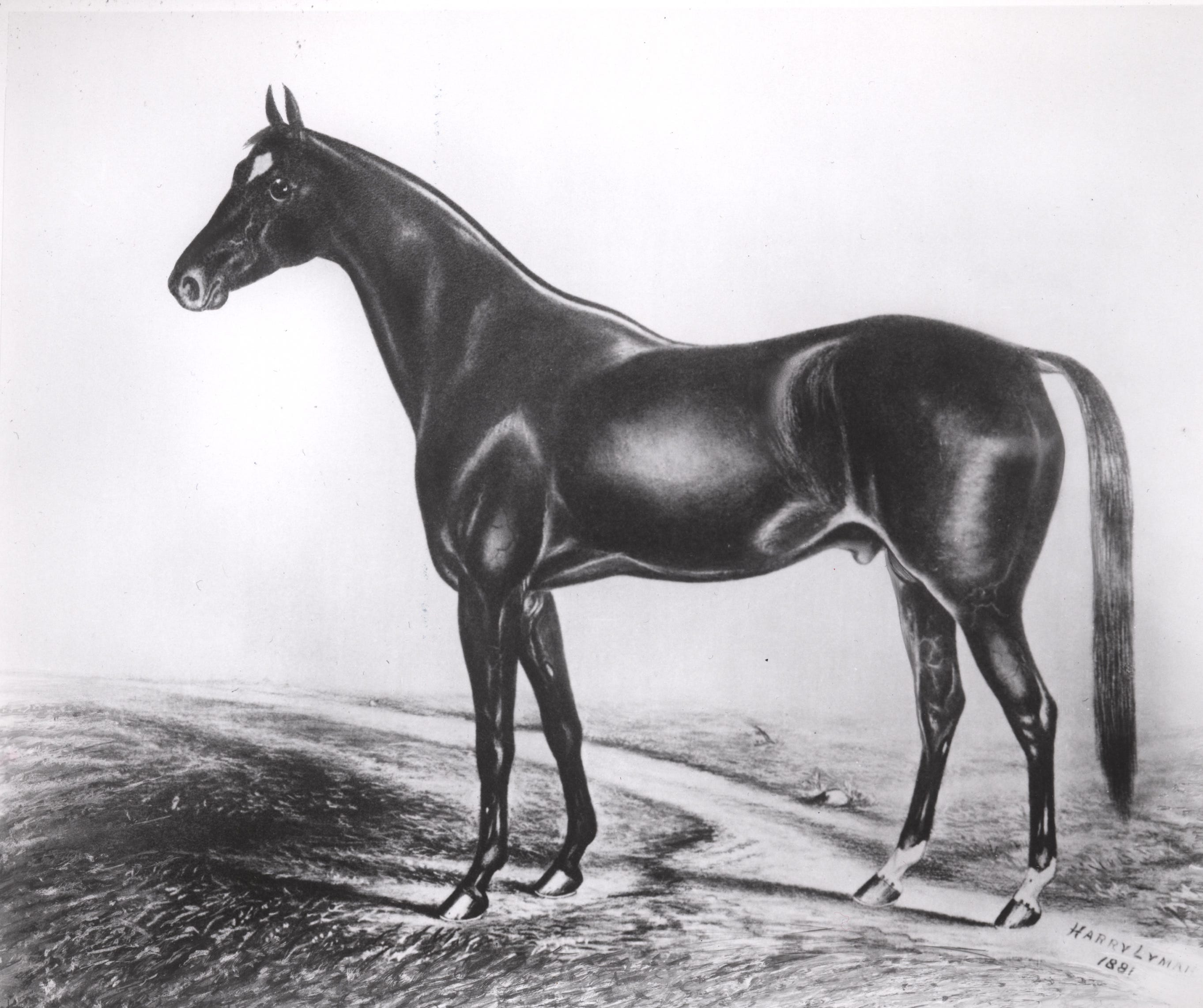 History Challenge answers: Aqueduct's Withers honors one of racing's ...