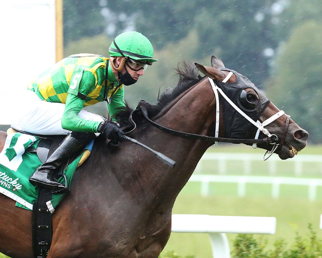 Arklow, 8, makes fifth run in Kentucky Turf Cup