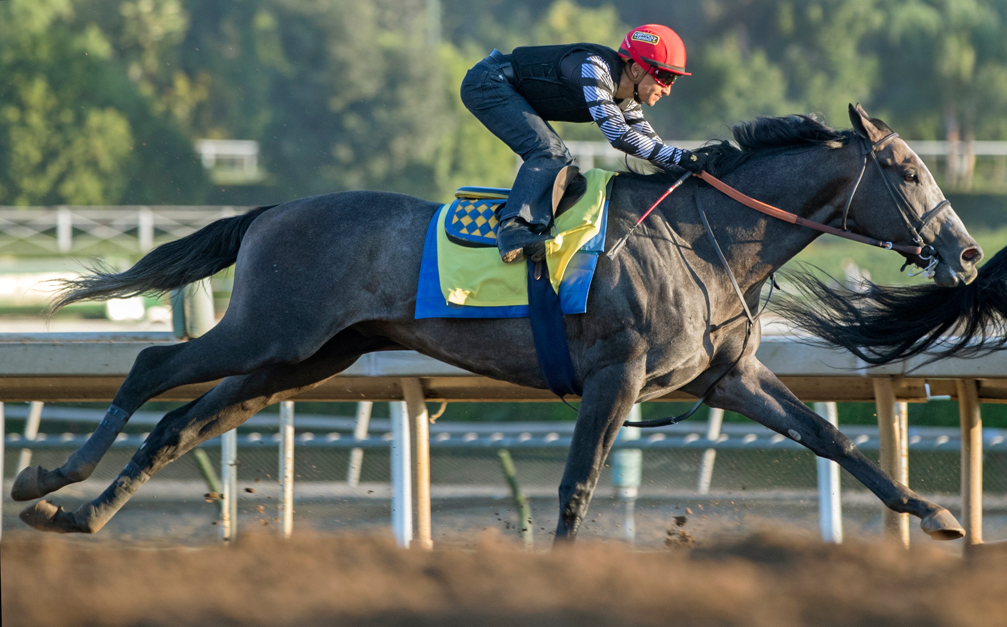 Hard to bad-mouth Arrogate