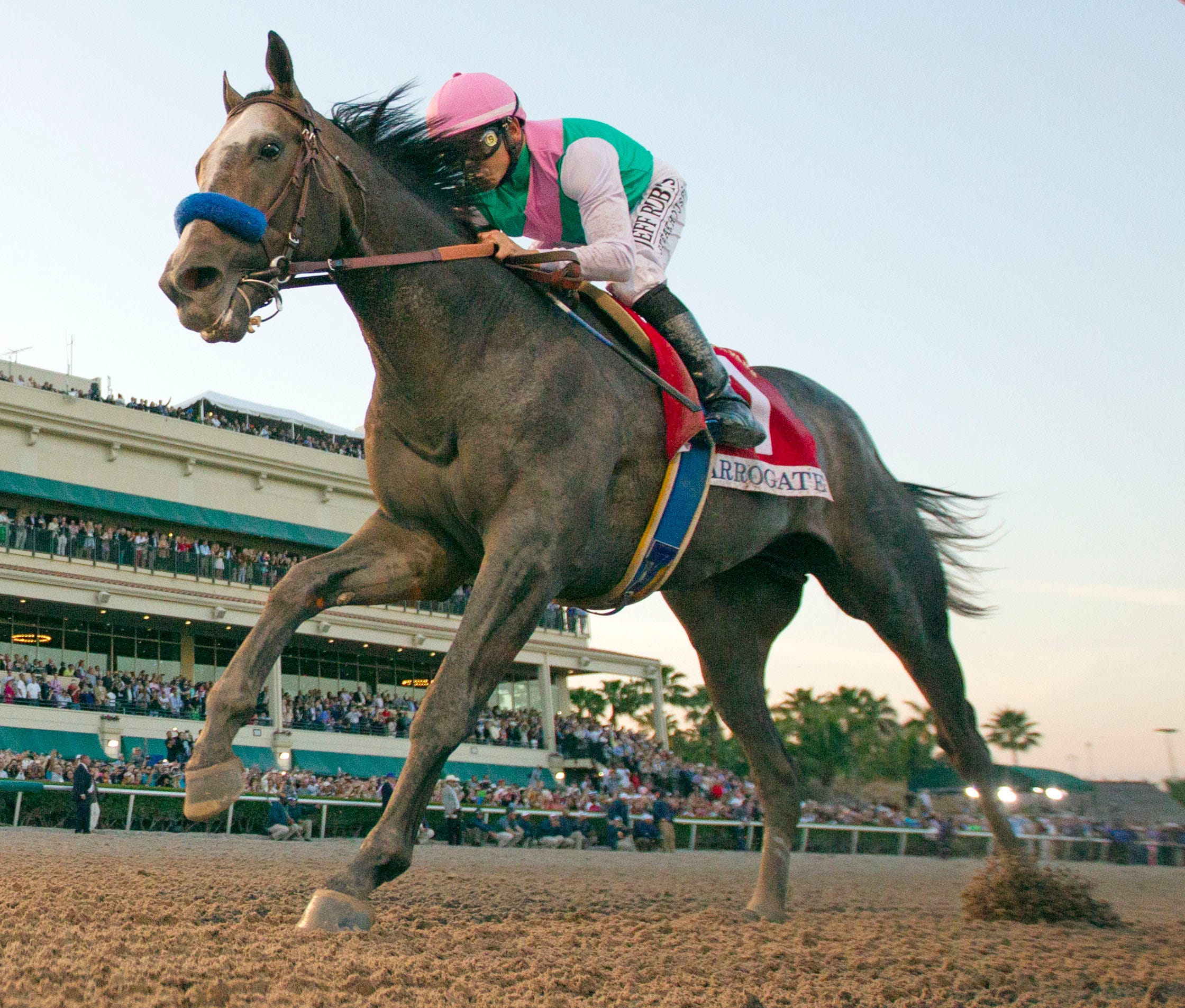 Arrogate dominates Pegasus World Cup