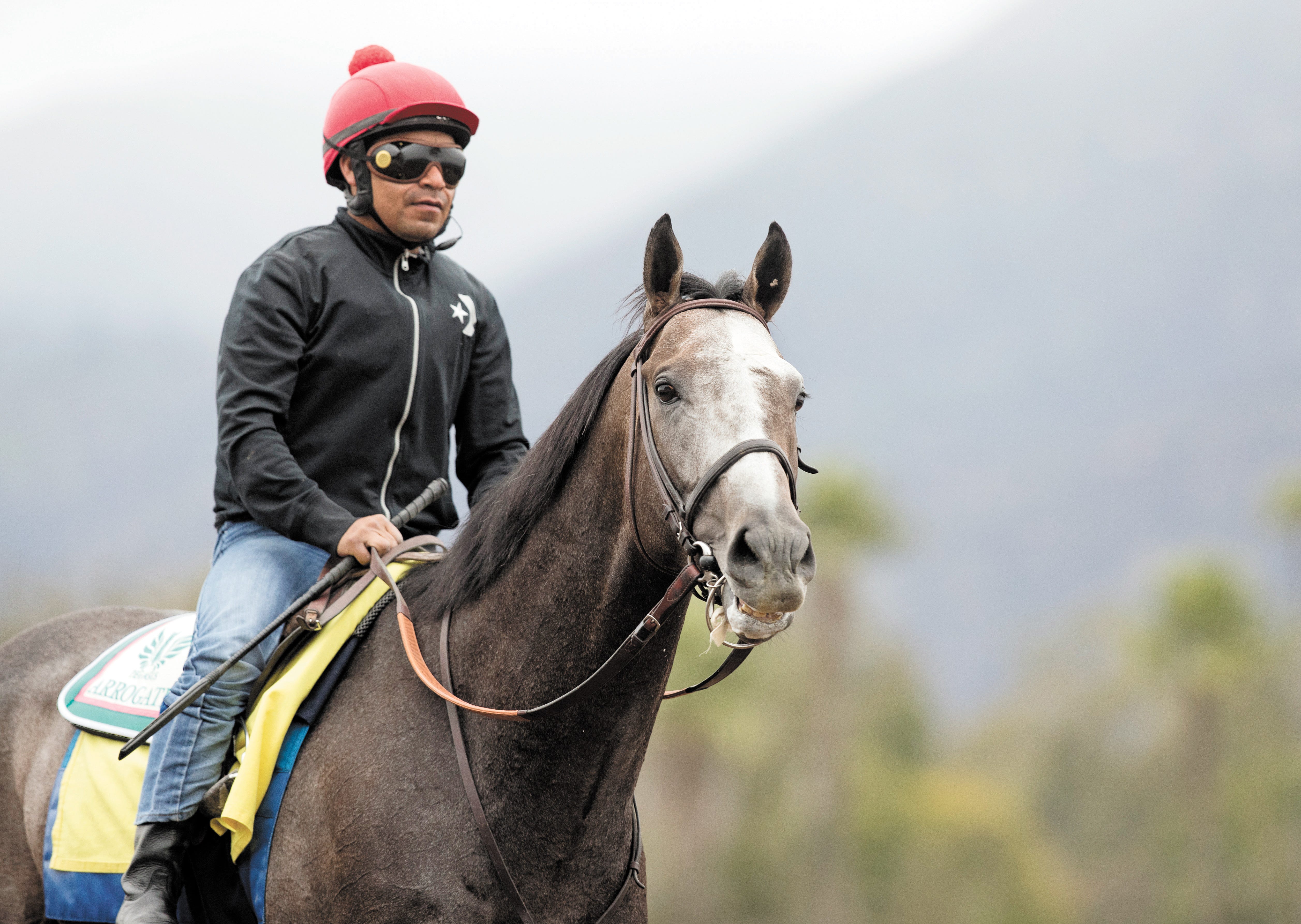 Arrogate a much-anticipated addition for Juddmonte